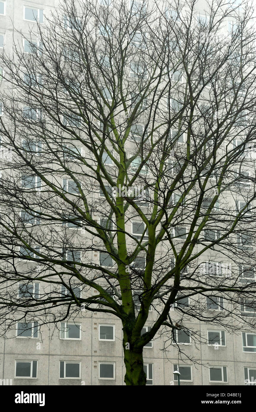 High rise flats nottingham uk hi-res stock photography and images - Alamy