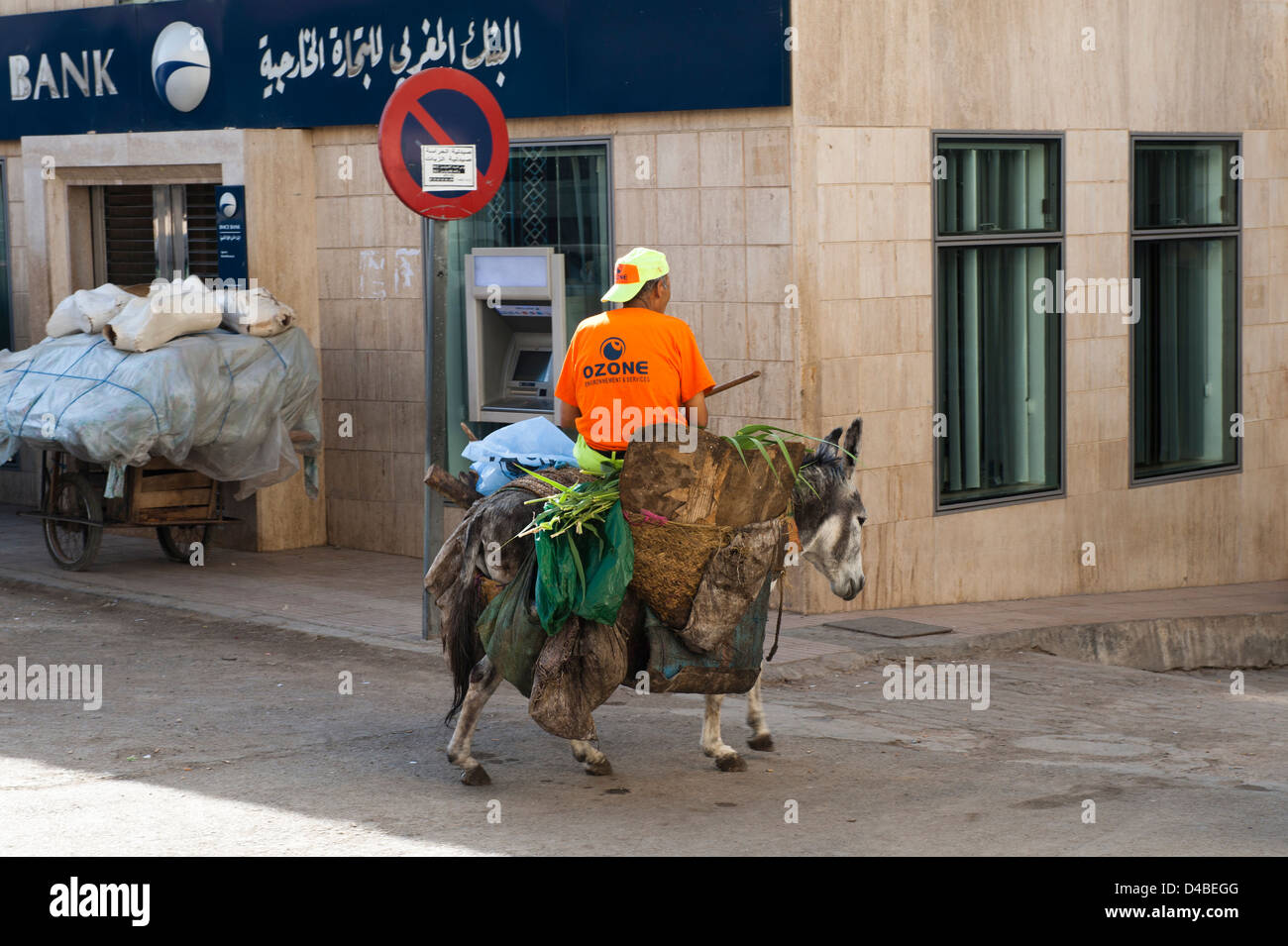 Mule transporting goods, Fes, Morocco Stock Photo - Alamy