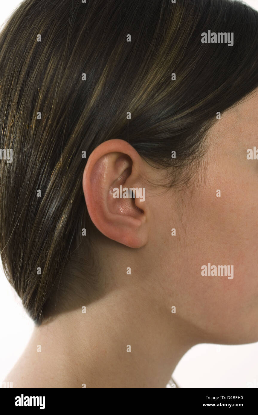 Side view of a woman's head Stock Photo - Alamy