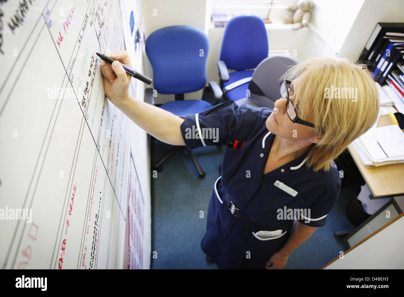Female nurse updates ward patients wall chart Stock Photo - Alamy