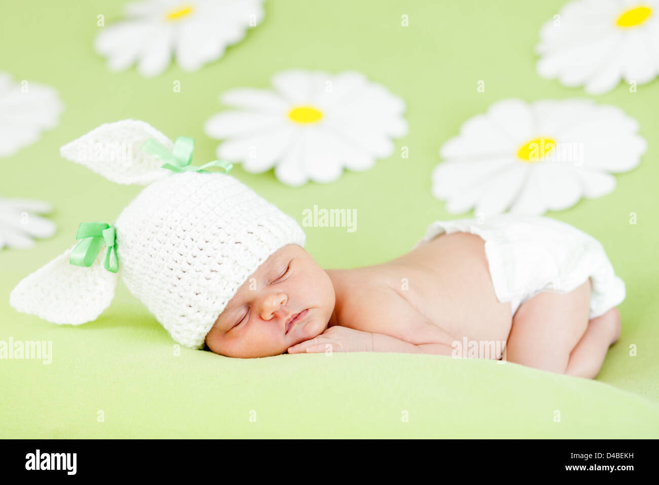 Hare sleep hi-res stock photography and images - Alamy