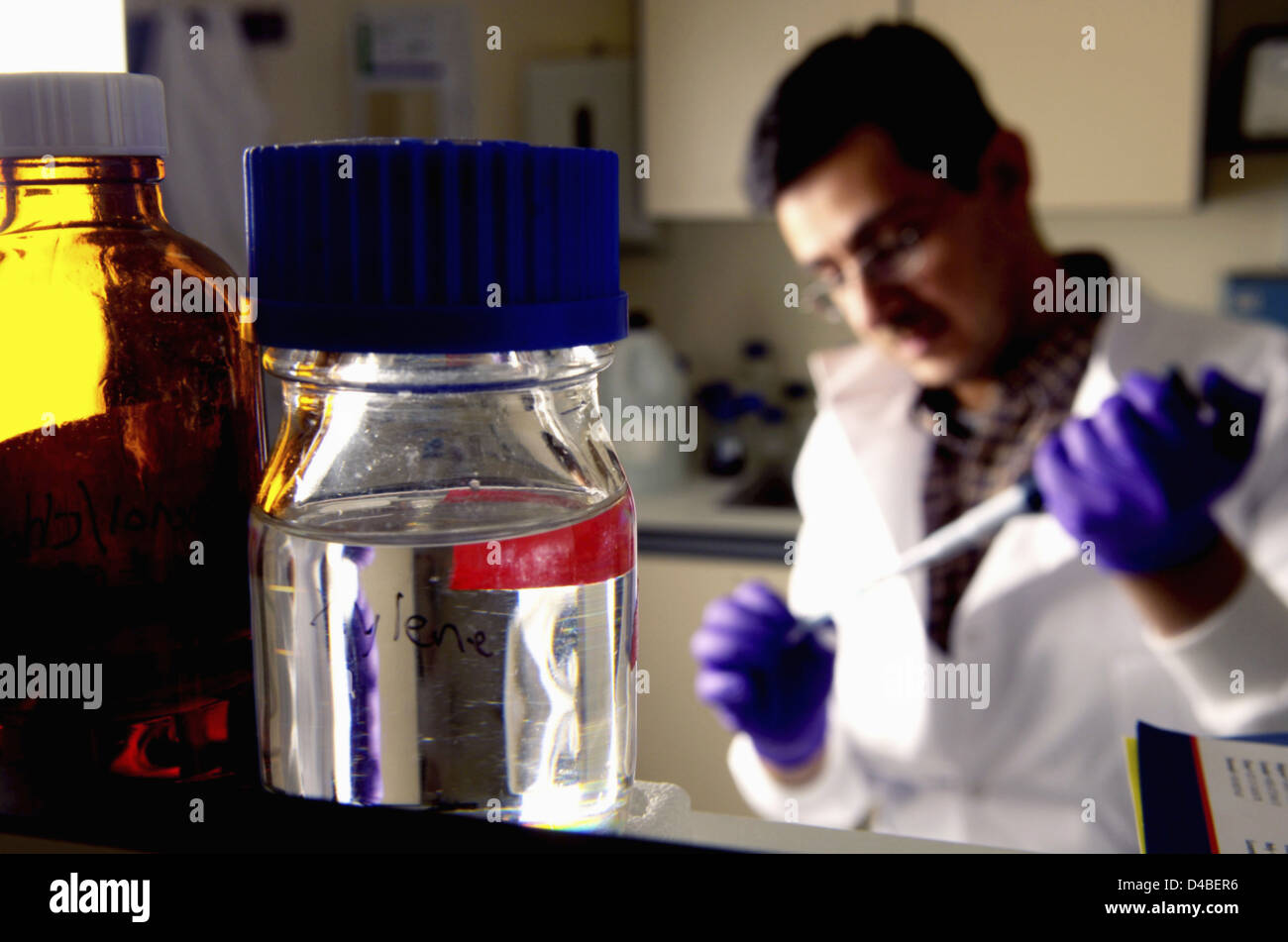 laboratory technician pipetting samples into Eppendorf sample tube ...