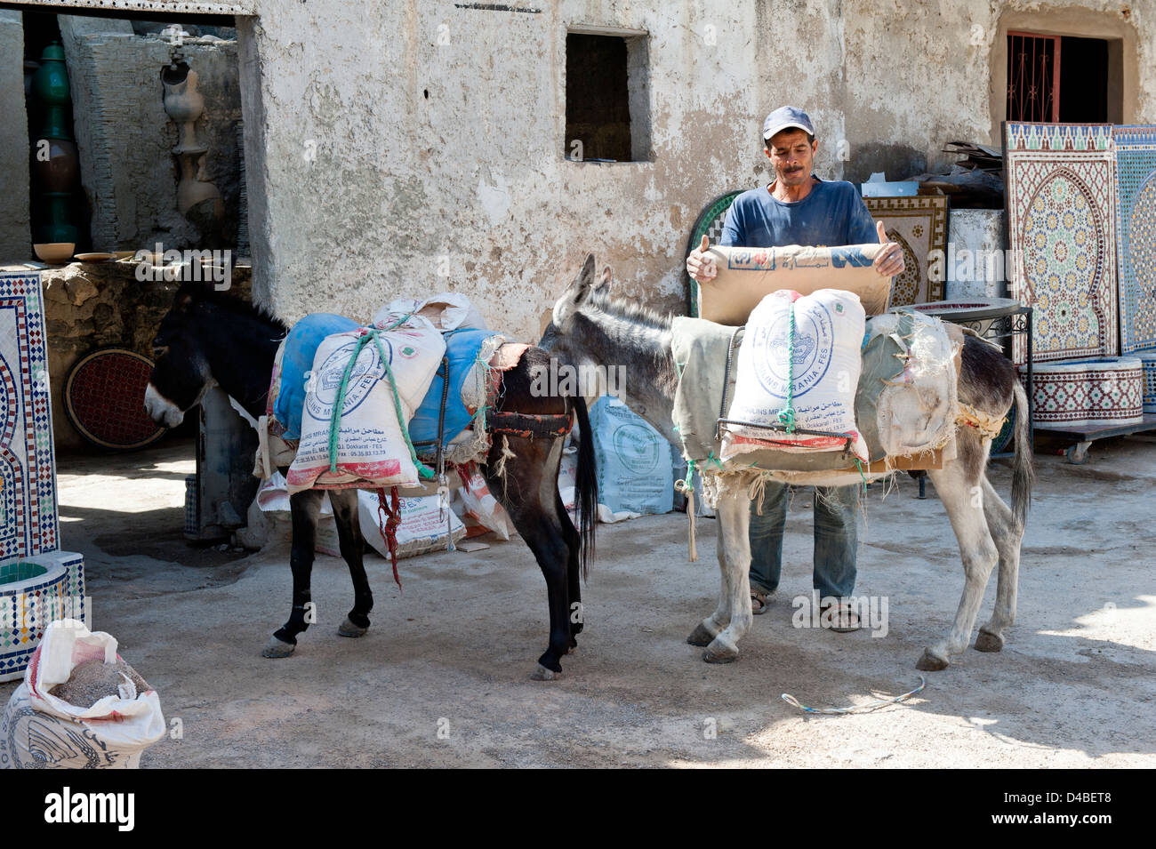 Mules transporting goods, Fes, Morocco Stock Photo - Alamy