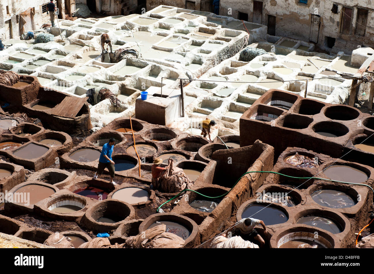Leather tanning, Fes, Morocco Stock Photo - Alamy