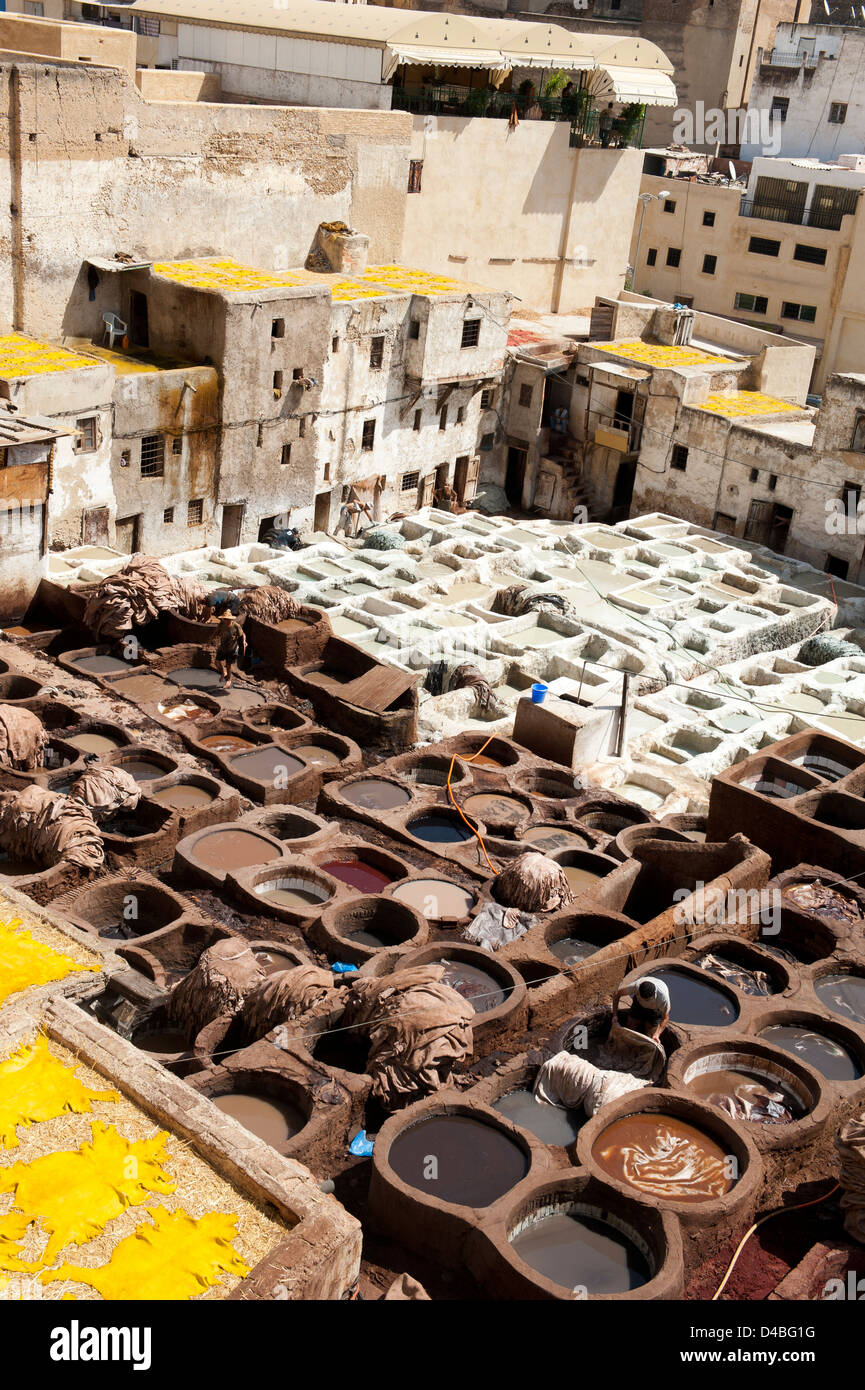 Leather tanning, Fes, Morocco Stock Photo - Alamy