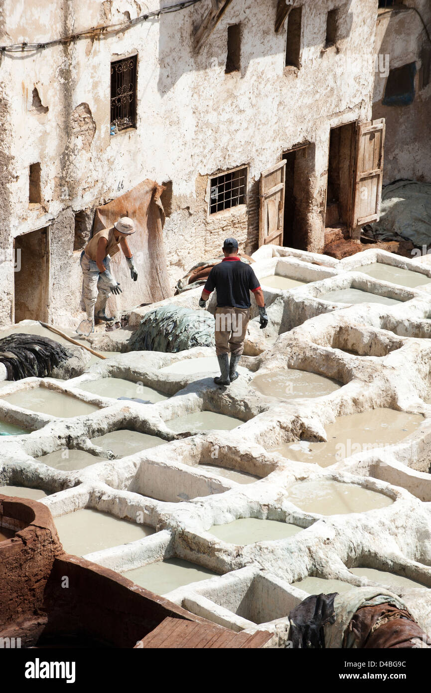 Leather tanning, Fes, Morocco Stock Photo - Alamy
