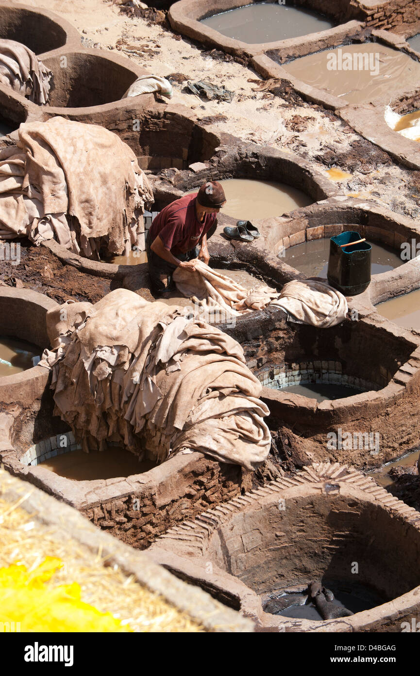 Leather tanning, Fes, Morocco Stock Photo - Alamy