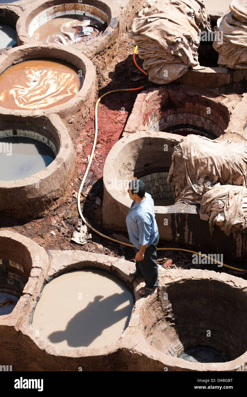 Leather tanning, Fes, Morocco Stock Photo - Alamy