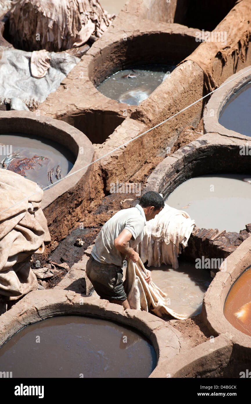 Leather tanning, Fes, Morocco Stock Photo - Alamy