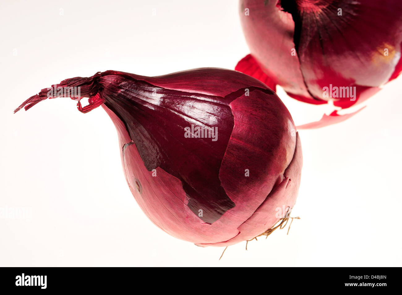 Red onion hi-res stock photography and images - Alamy