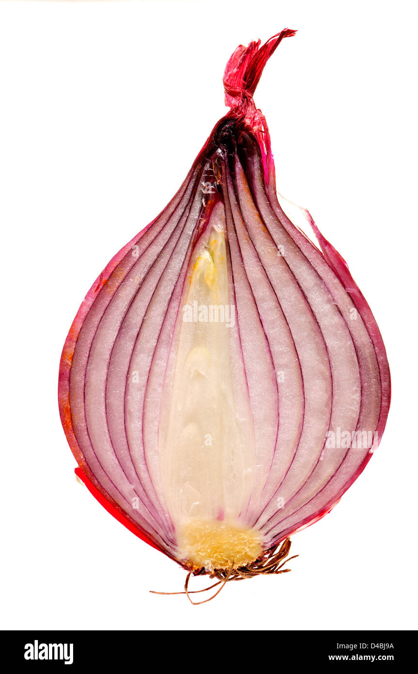 Halved red onion hi-res stock photography and images - Alamy