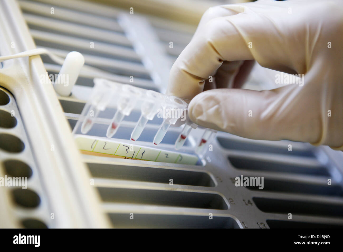 Gloved hand holding blood samples hi-res stock photography and images ...