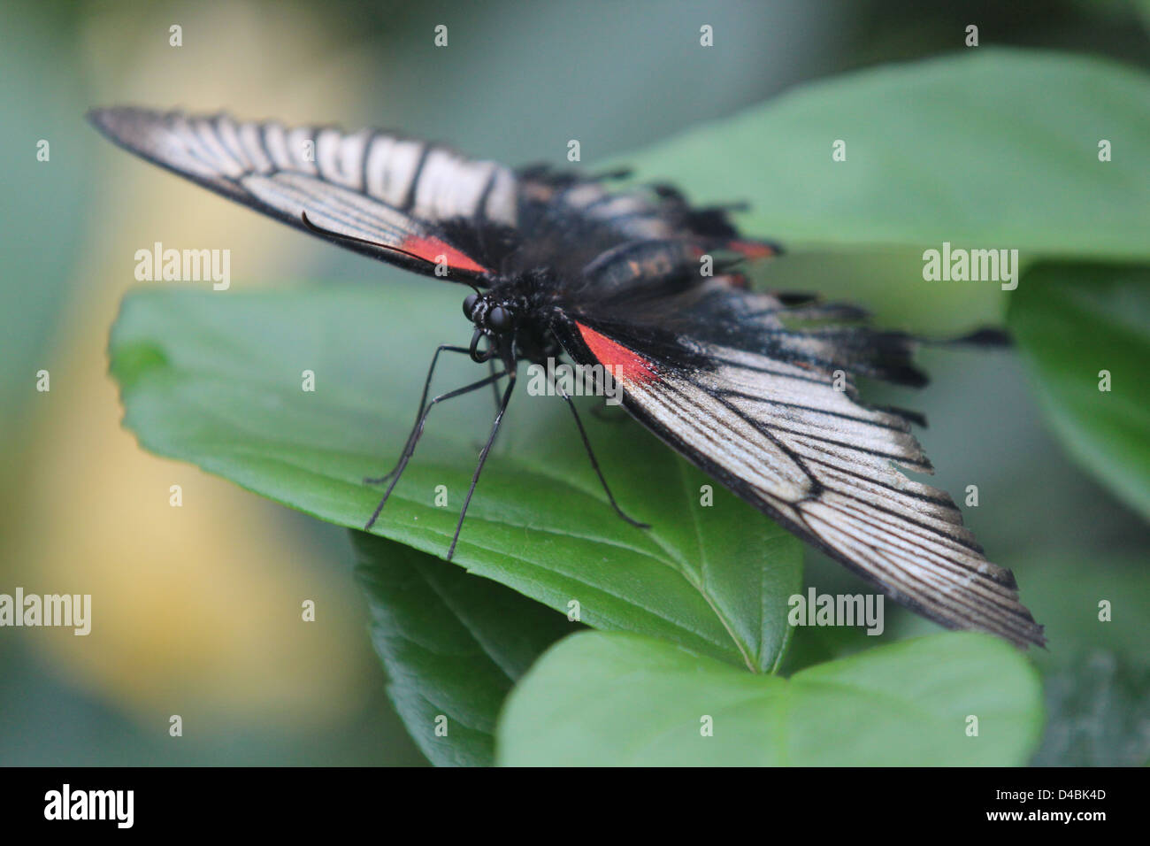 Straight on view hi-res stock photography and images - Alamy