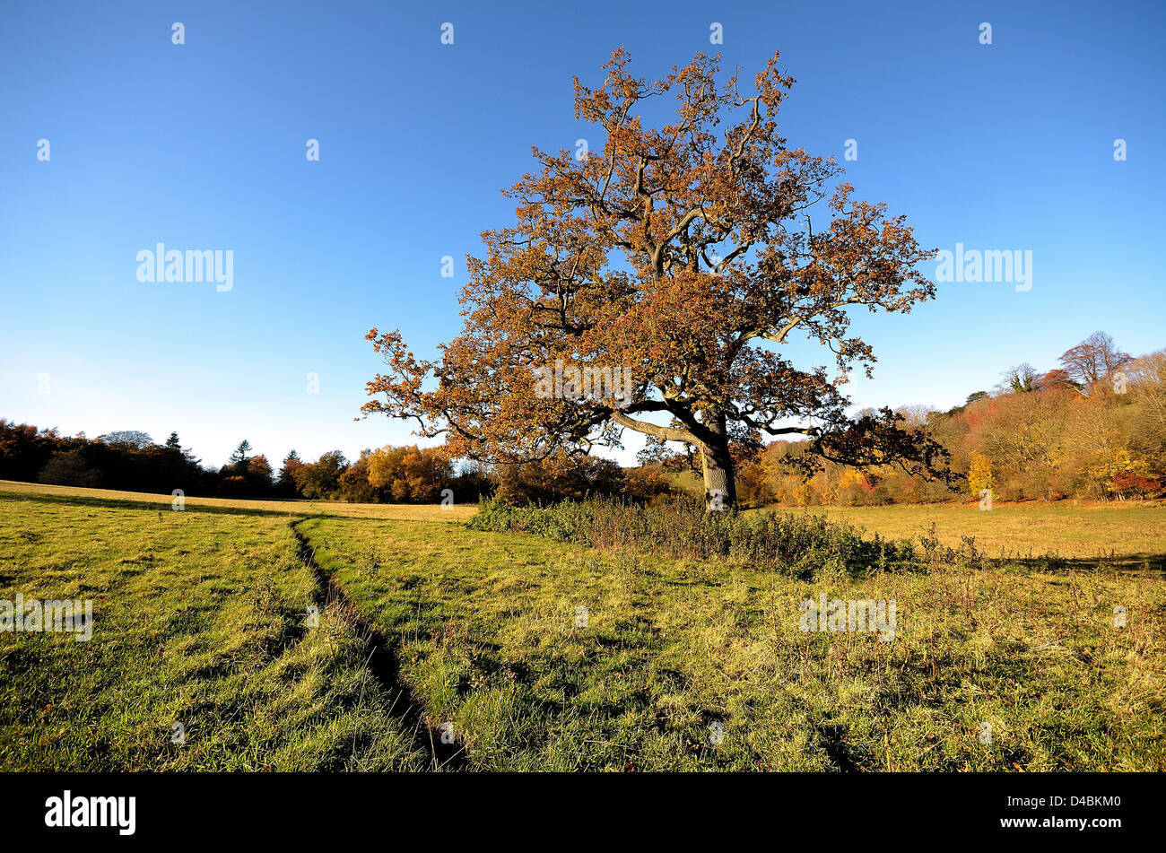 British countryside hi-res stock photography and images - Alamy