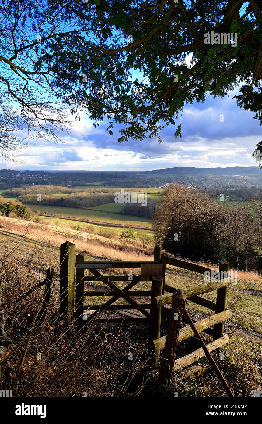 Ranmore Common Dorking Surrey Hills Stock Photo - Alamy