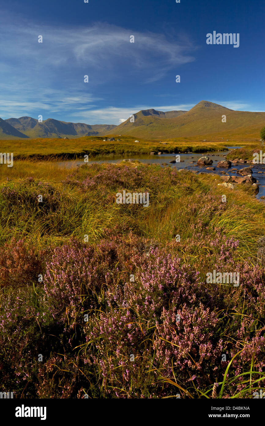 Heather Covered Moors High Resolution Stock Photography and Images - Alamy