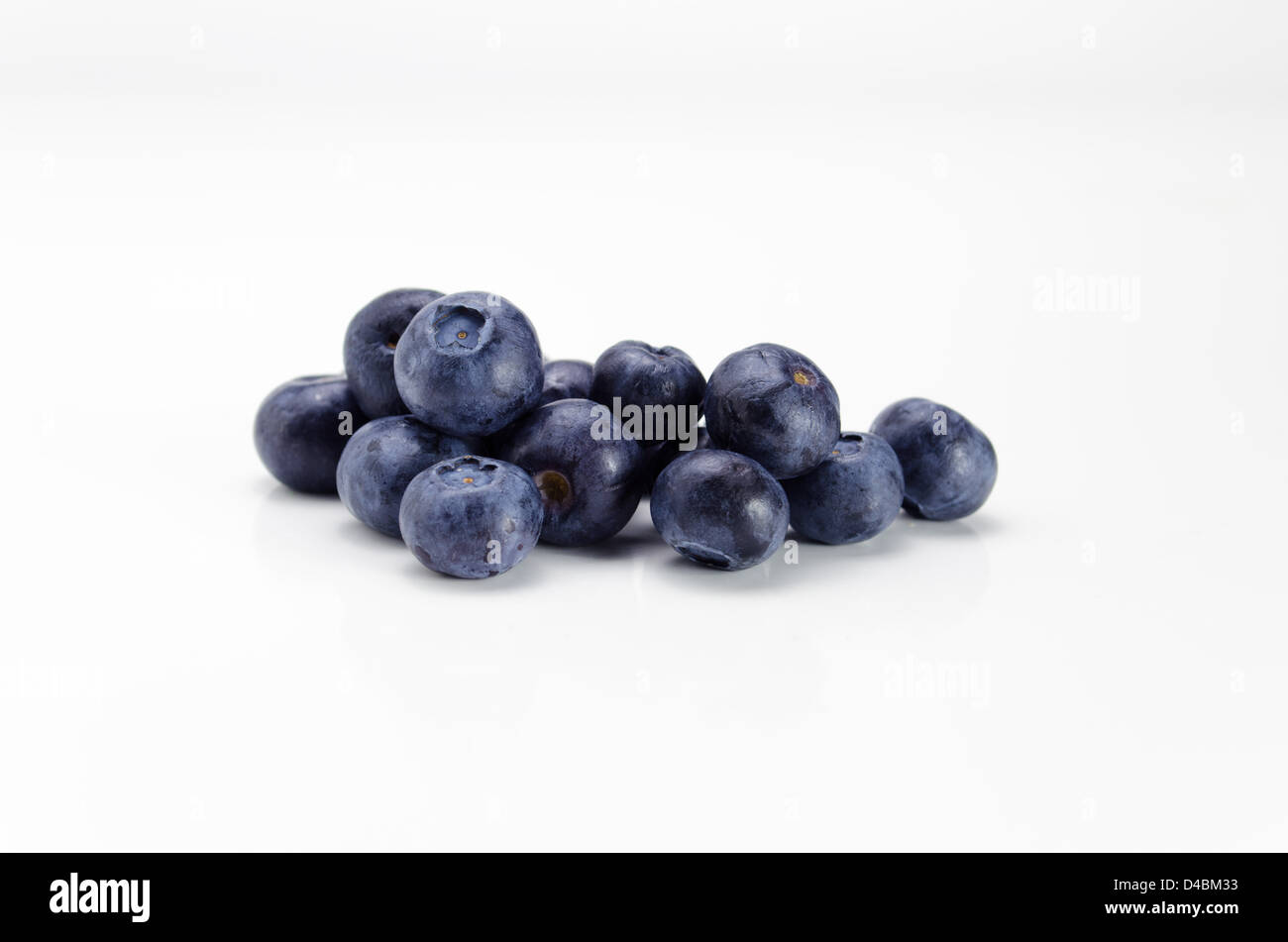 Blueberries grow hi-res stock photography and images - Alamy