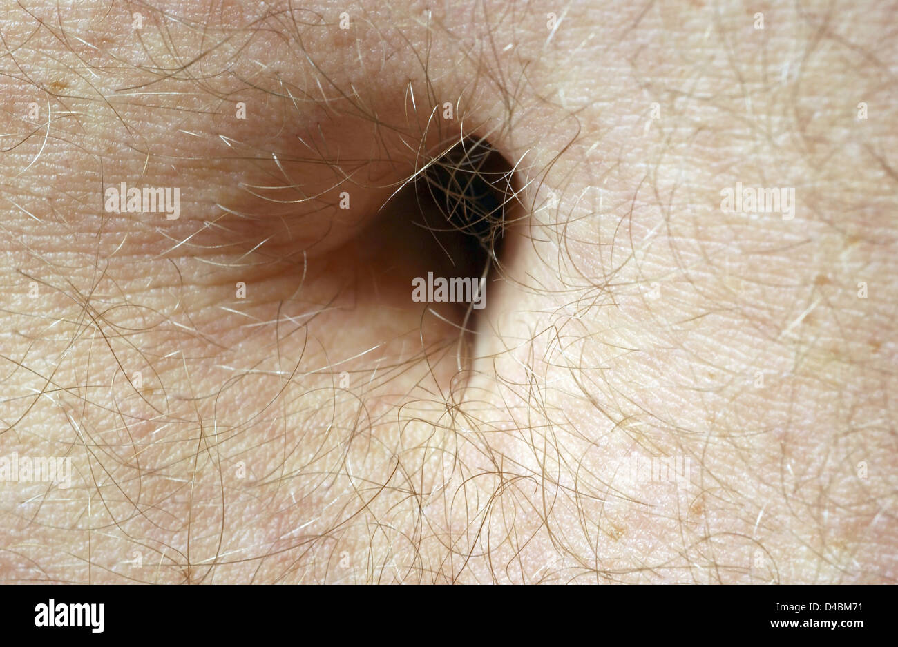 Close-up of male navel Stock Photo - Alamy