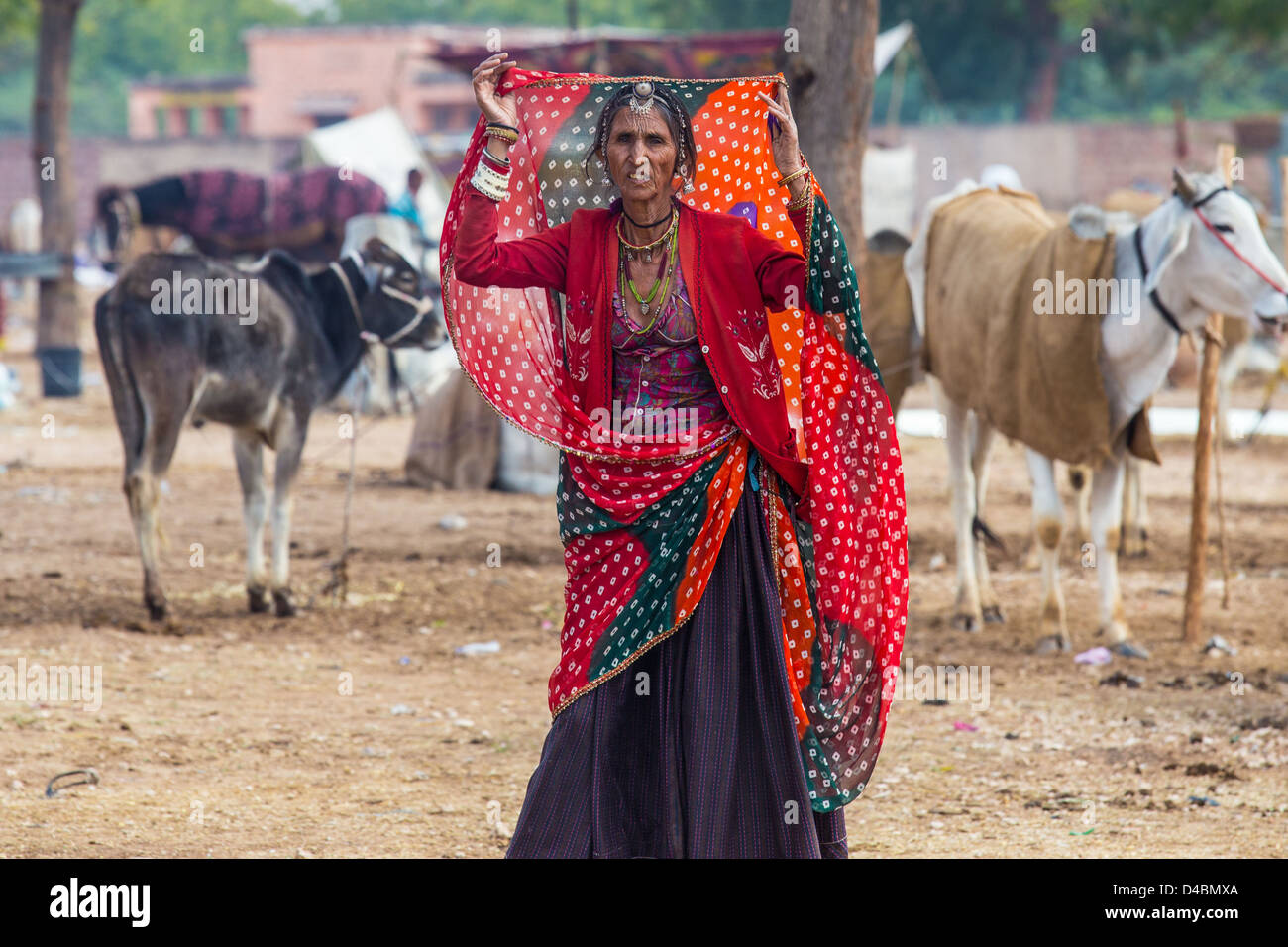 Rajput woman, Nagaur Cattle Fair, Nagaur, Rajasthan, India Stock Photo ...