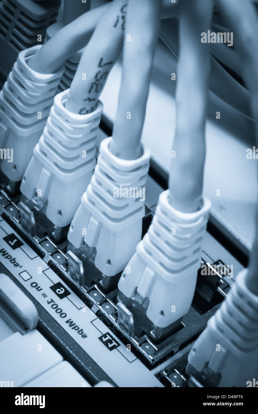 close-up of network hub and ethernet cables Stock Photo - Alamy
