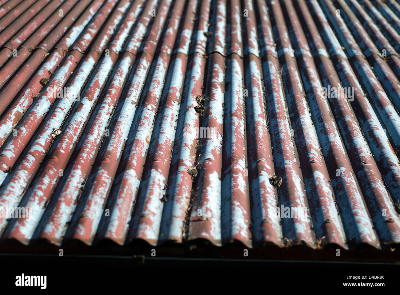 Corrugated iron roof hi-res stock photography and images - Alamy