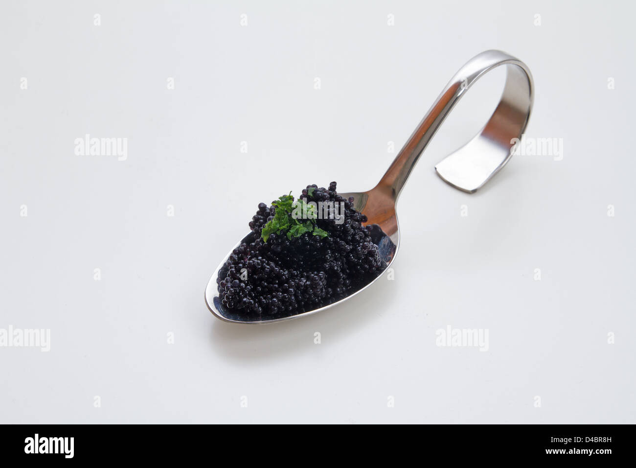 Beluga stor hi-res stock photography and images - Alamy