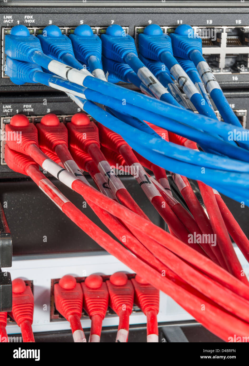 close-up of network hub and ethernet cables Stock Photo - Alamy