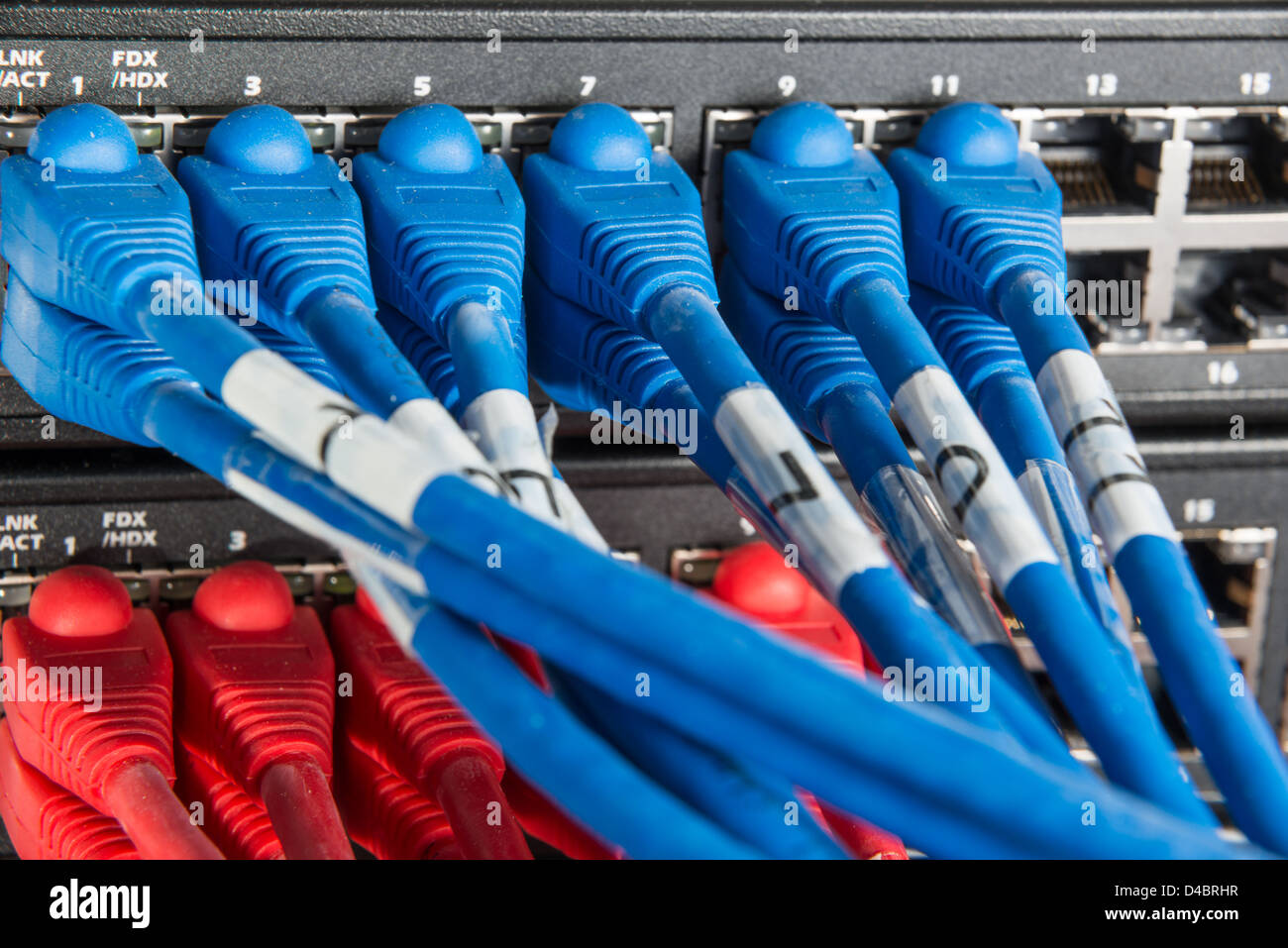close-up of network hub and ethernet cables Stock Photo - Alamy