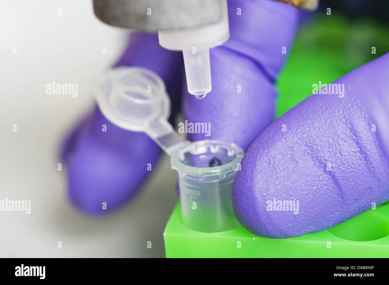 Immuno assay development scientist placing sample into vial, buffer ...