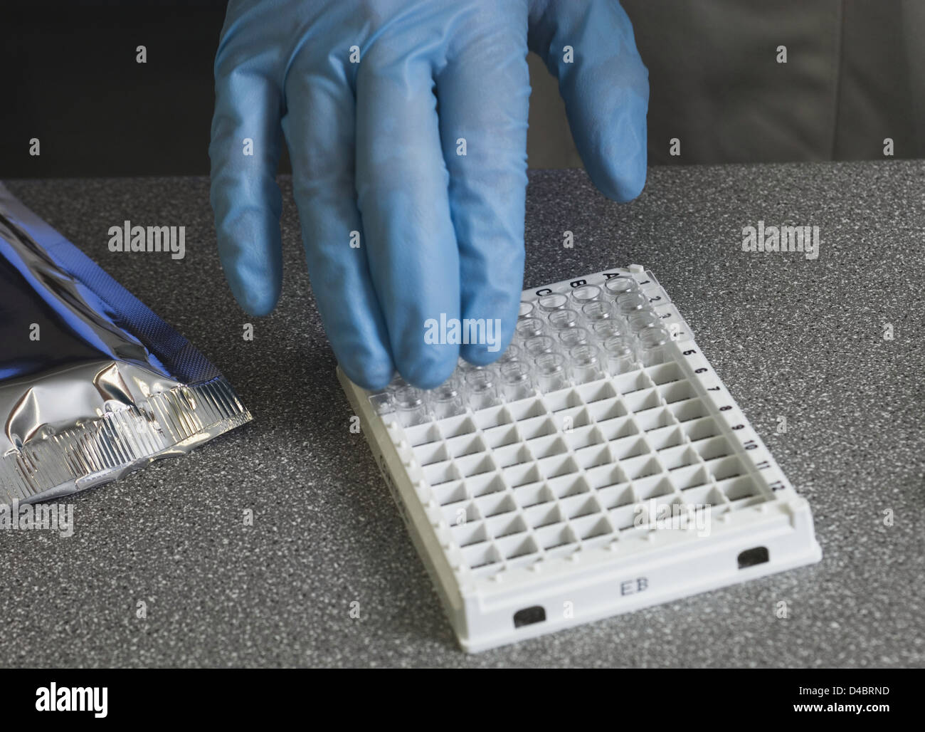 Strips of hormone plate samples being prepared for testing - EIA test ...