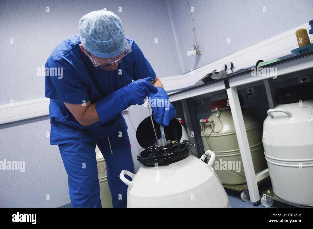 Fertilized embryos are stored in liquid nitrogen filled tanks to keep ...