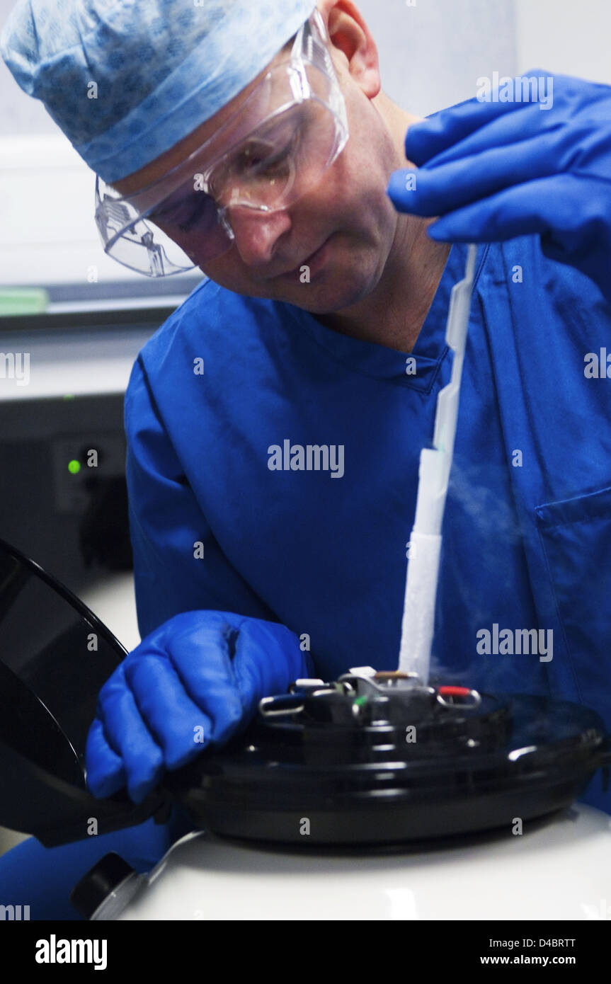 Fertilized embryos are stored in liquid nitrogen filled tanks to keep ...