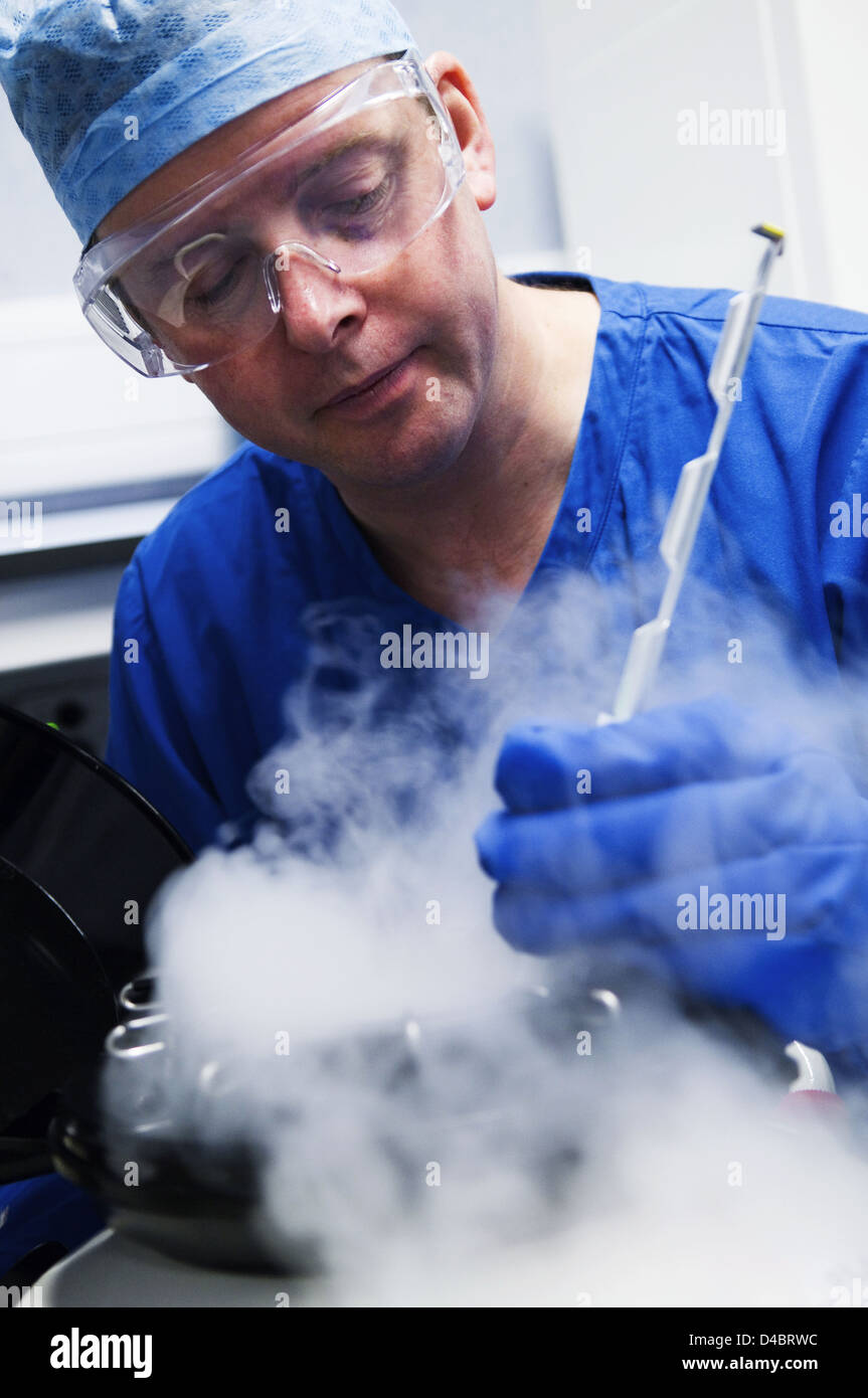 Fertilized embryos are stored in liquid nitrogen filled tanks to keep ...