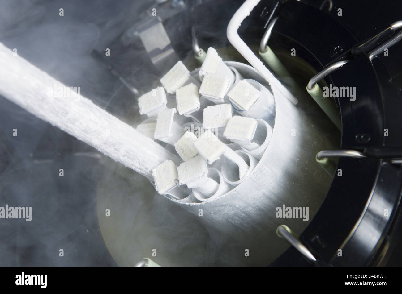 Fertilized embryos are stored in liquid nitrogen filled tanks to keep ...