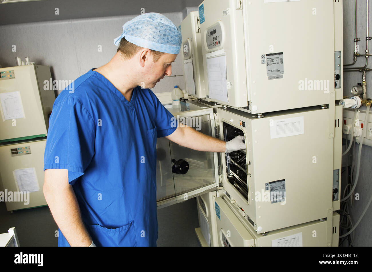 Doctor placing fertilized embryos into incubation hi-res stock ...