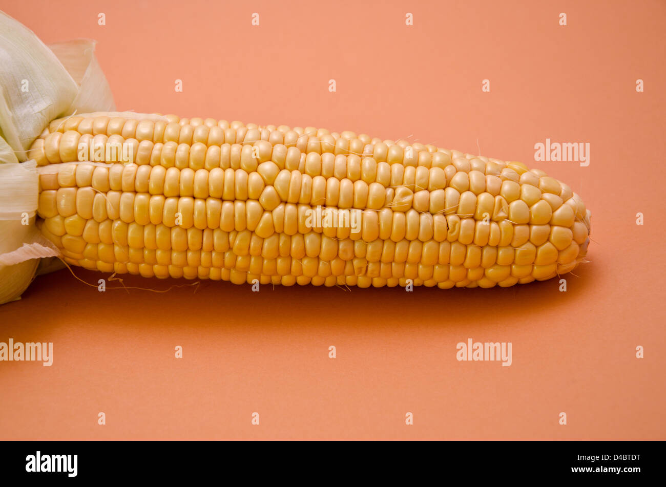 Corn ear hi-res stock photography and images - Alamy
