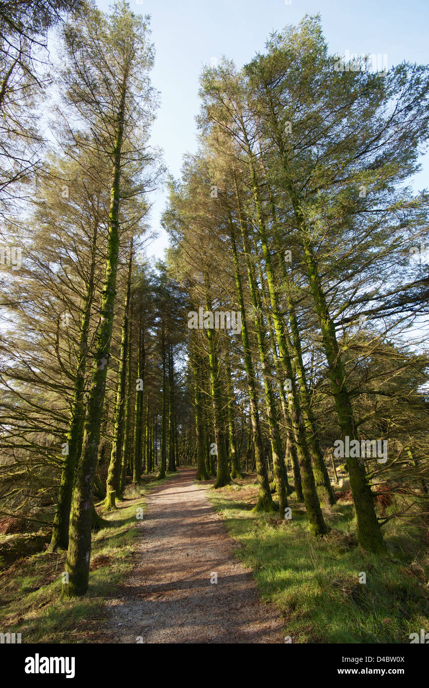 Tall high hi-res stock photography and images - Alamy