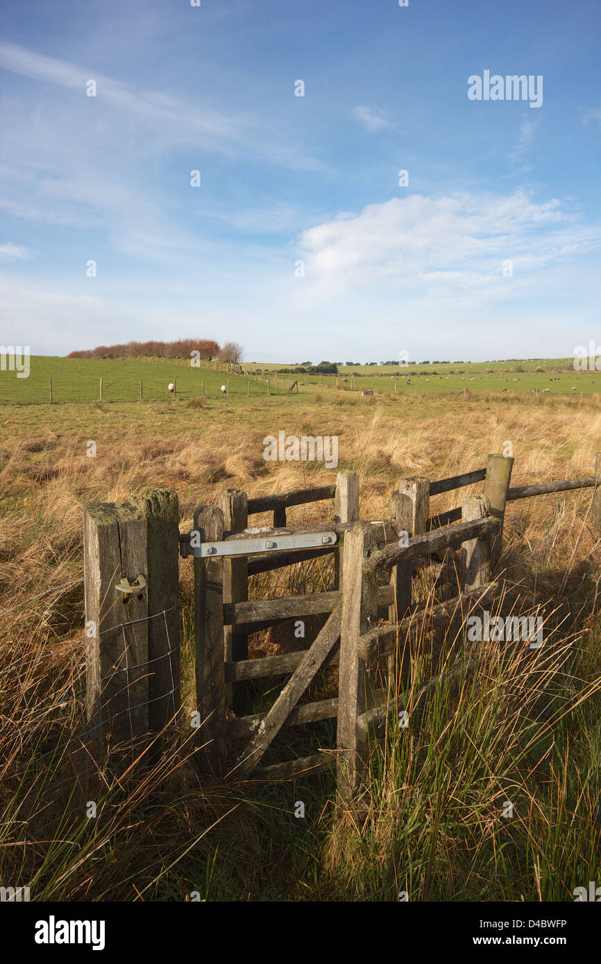 Gate to fields Stock Photo - Alamy