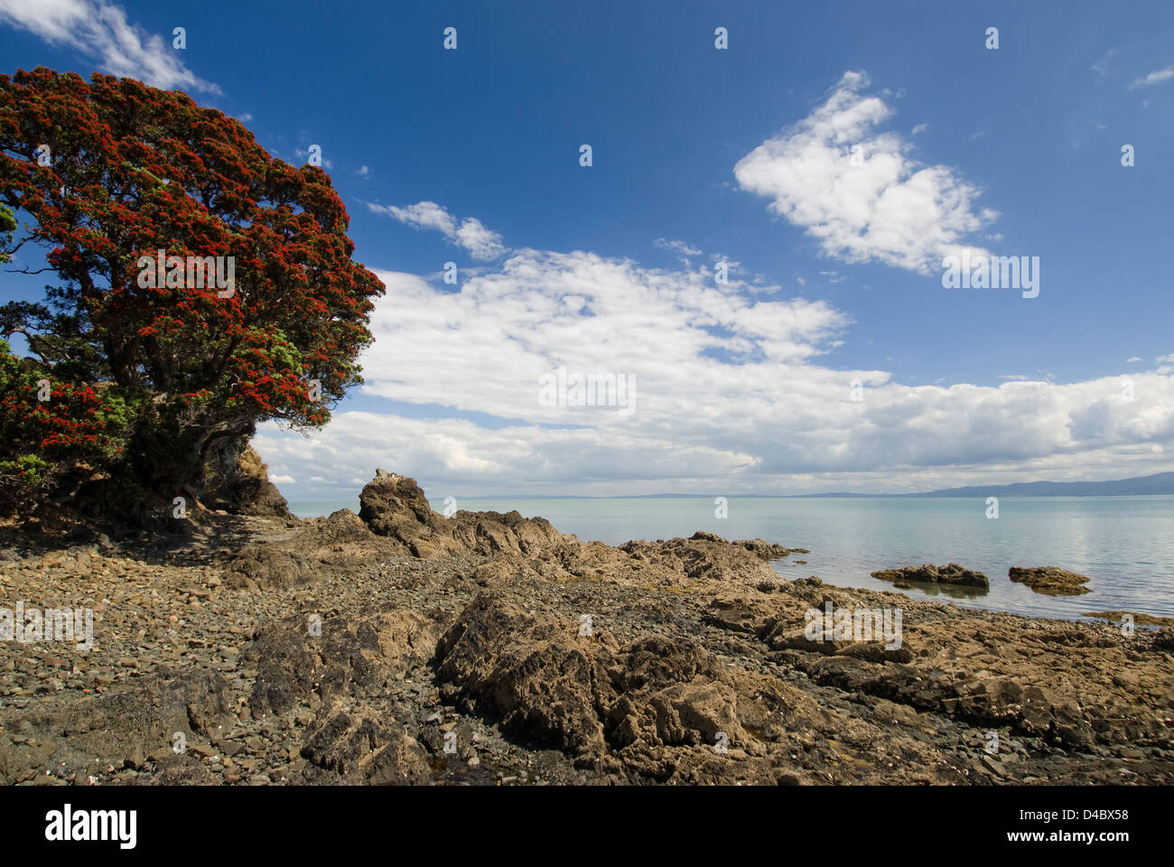 Thames coromandel hi-res stock photography and images - Alamy