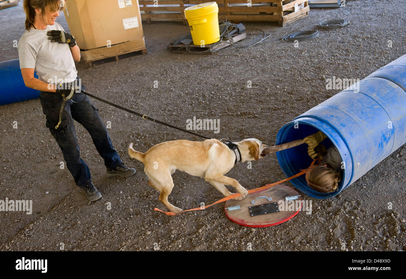 Lab disasters hi-res stock photography and images - Alamy