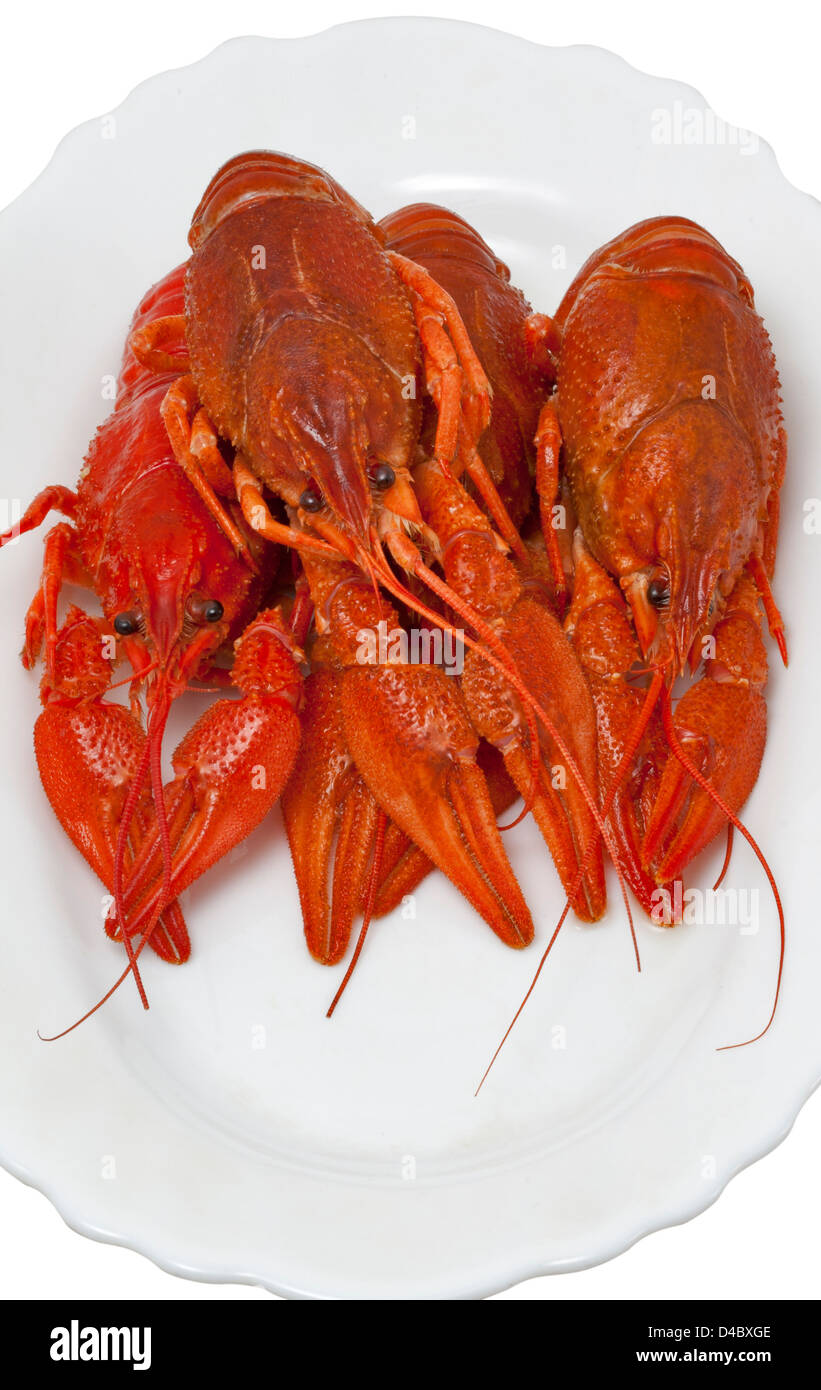 White river crawfish hi-res stock photography and images - Alamy