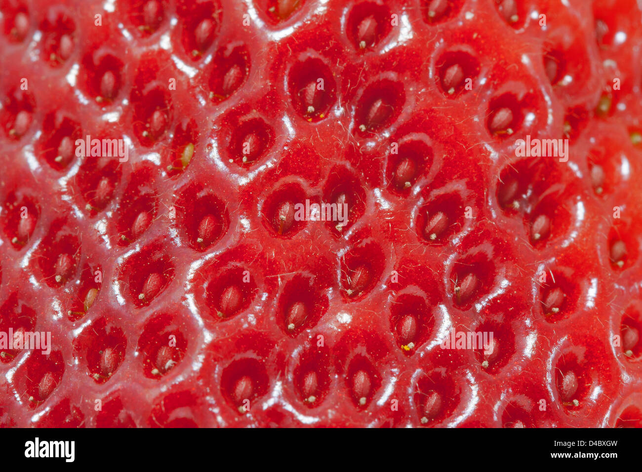 fresh red strawberry surface macro background Stock Photo - Alamy
