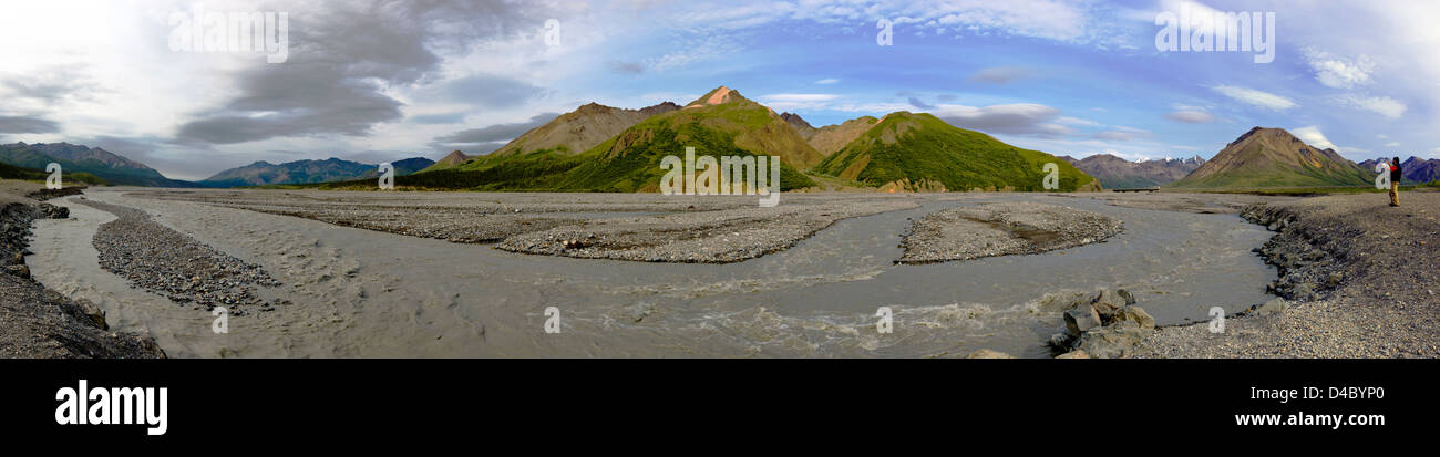 Lone hiker photographing a panorama view of braided Toklat River drains ...
