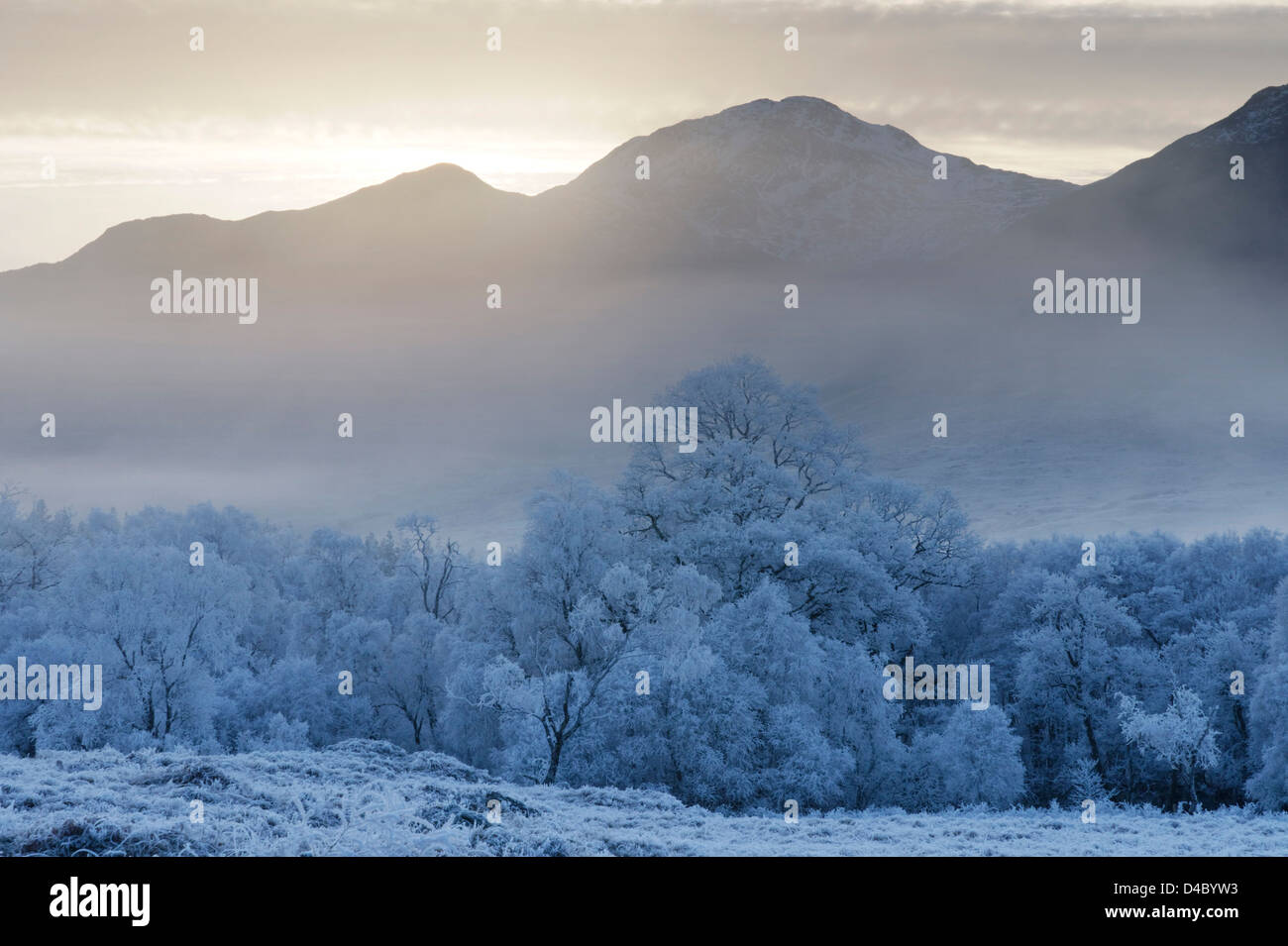 Frosty weather at Glenfinnan in the Scottish Highlands Stock Photo - Alamy