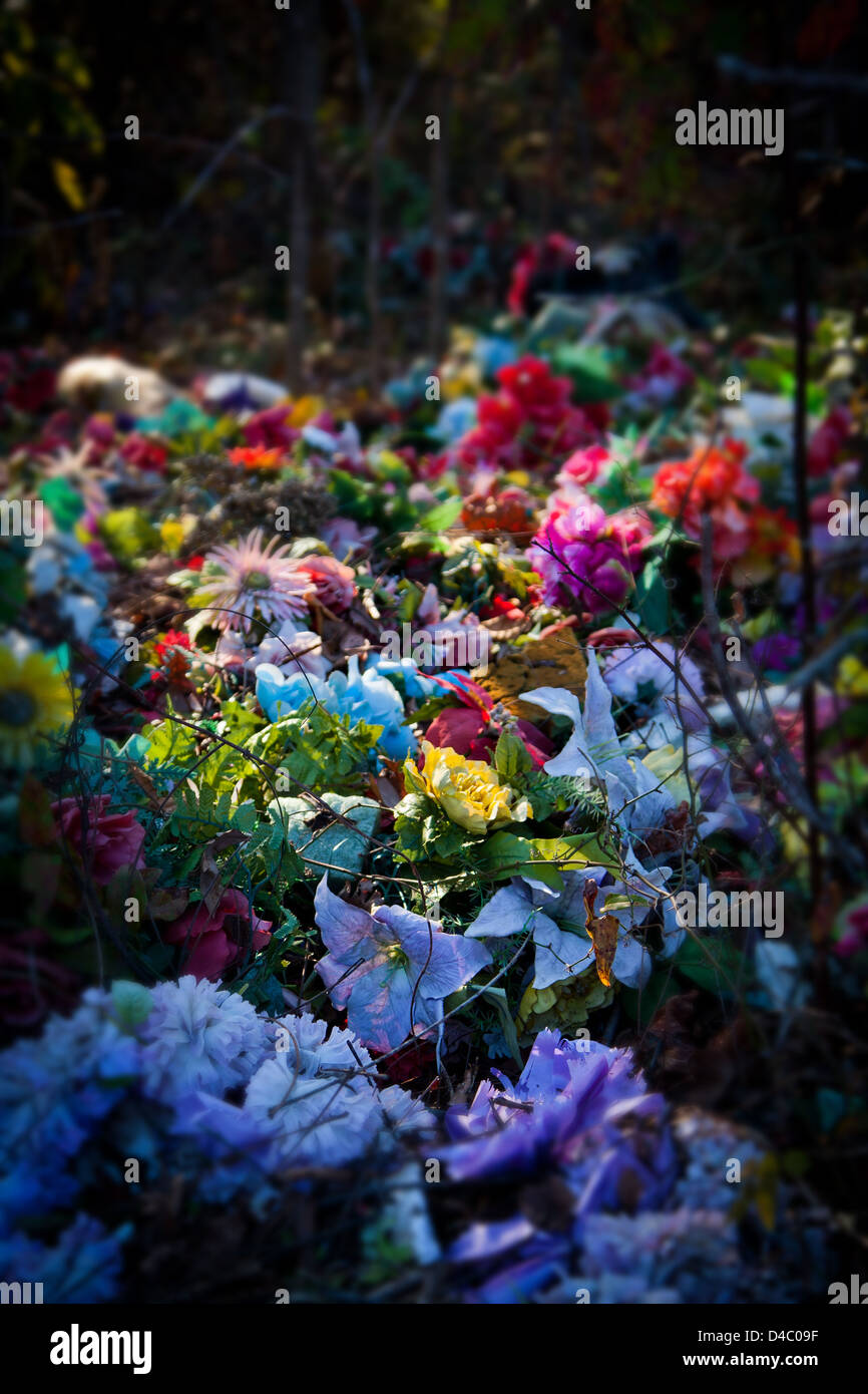 Blown flowers hi-res stock photography and images - Alamy