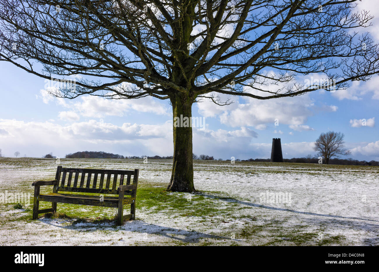 Beverley Westwood in winter showing the Black Mill Monument, formally a ...