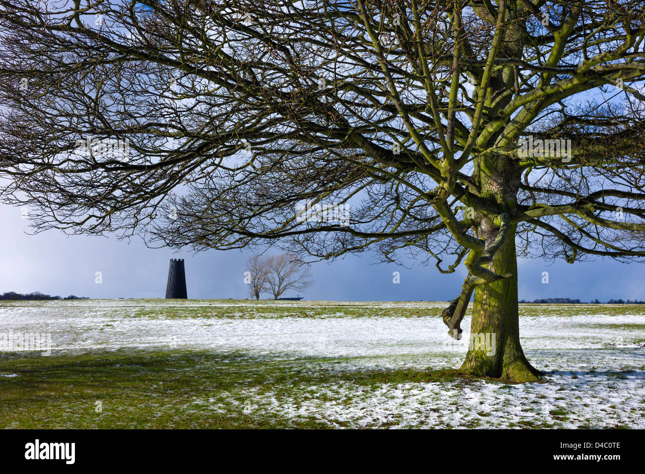 Beverley Westwood in winter showing the Black Mill Monument, formally a ...
