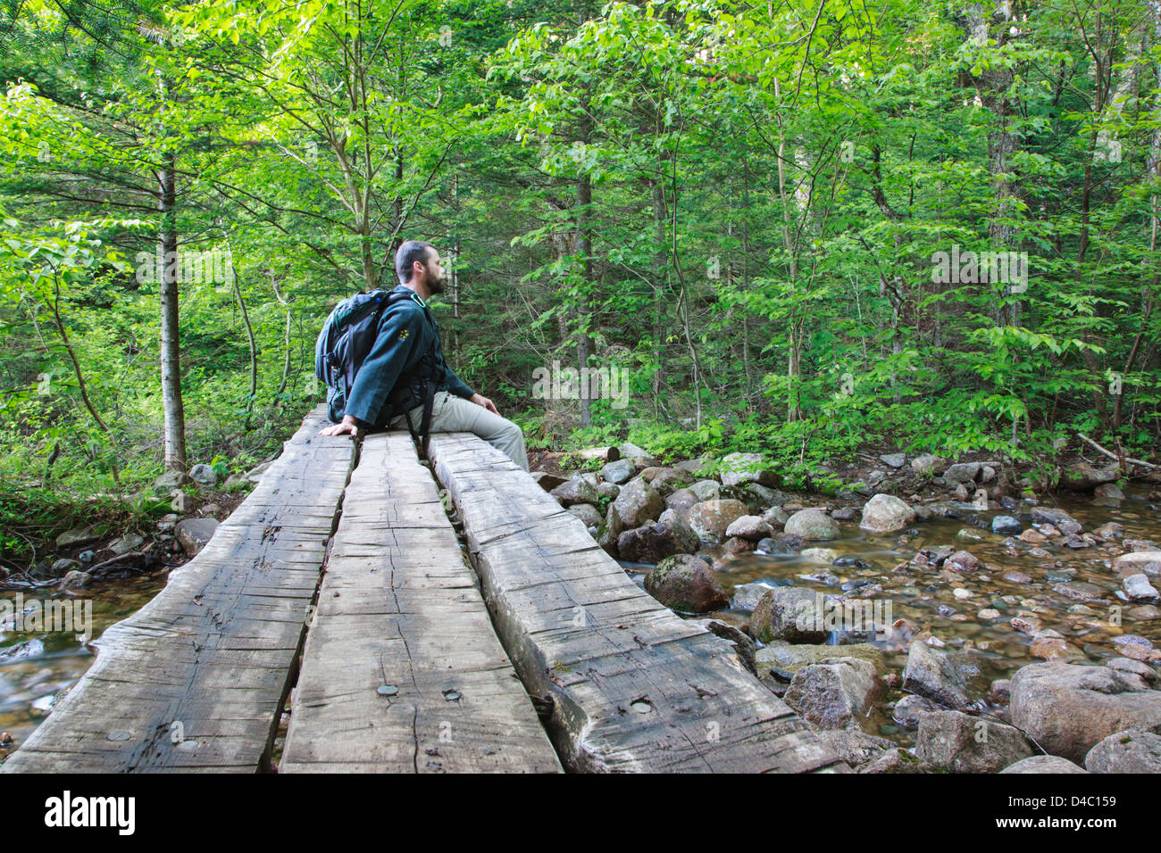 Wooden footbridge along the Saco Lake Trail in Crawford Notch State ...