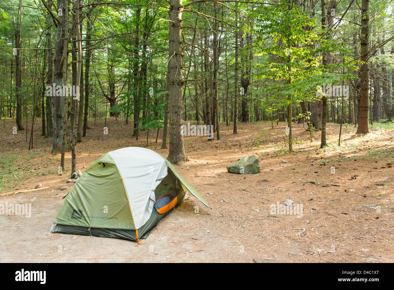 Campsite deep in the woods with a small size tent Stock Photo - Alamy