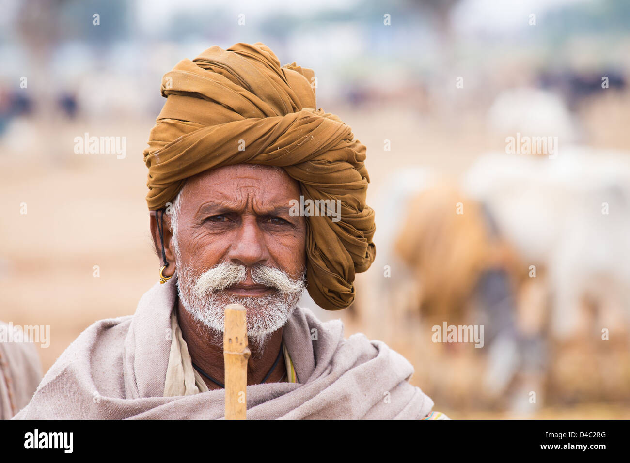 Rajput man, Nagaur Cattle Fair, Nagaur, Rajasthan, India Stock Photo ...